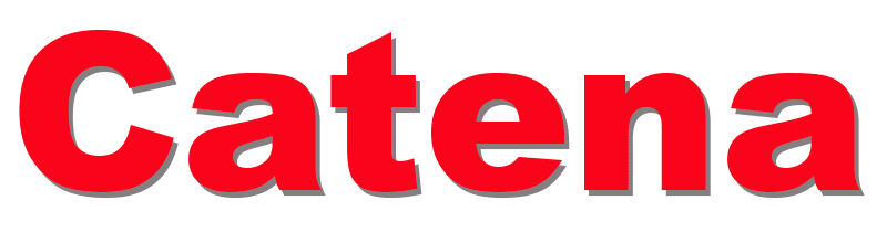 cropped-CatLogoShadow.png – Catena Inspection & Engineering Services